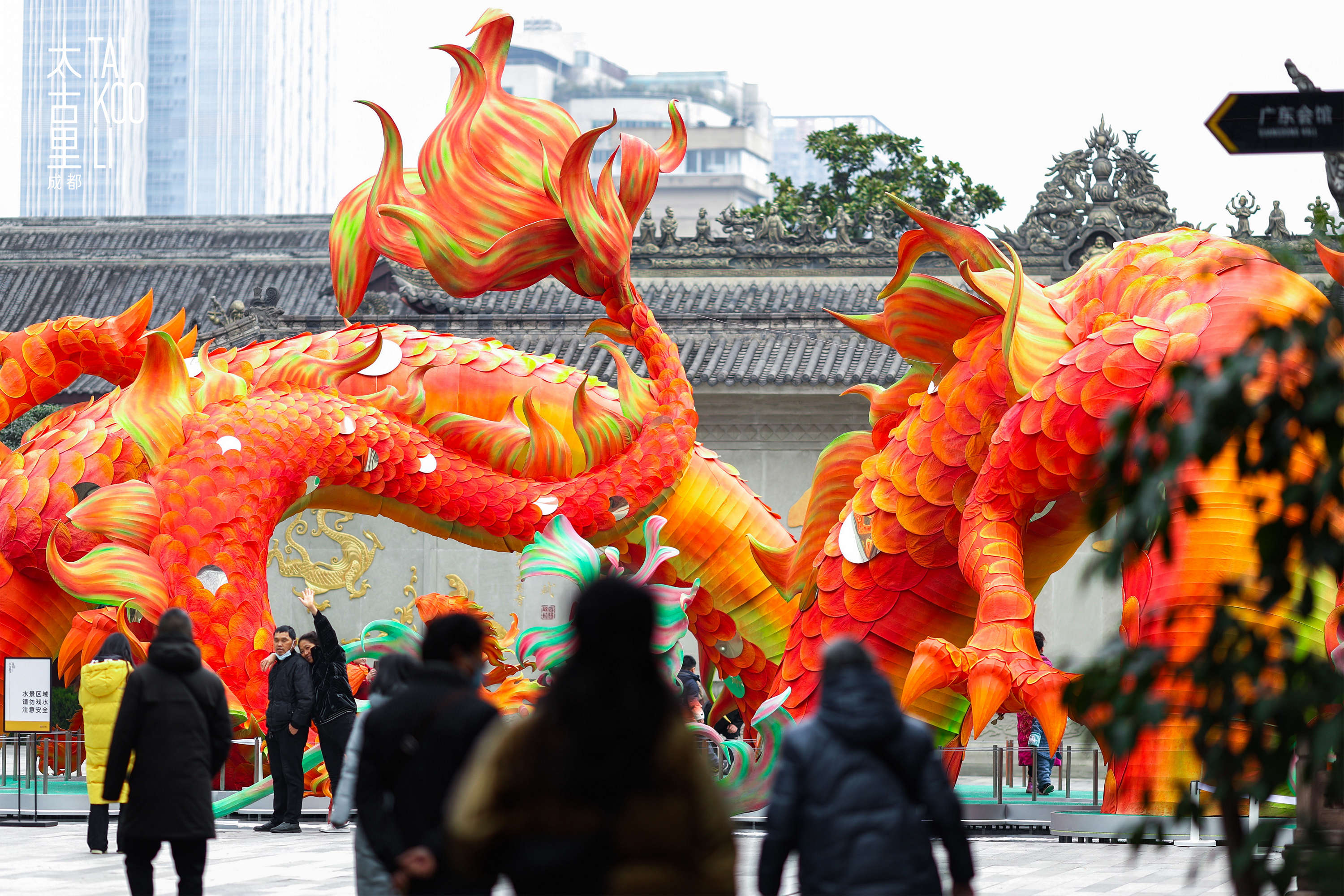 Tremor Scales, the dragon. | Luo Ming